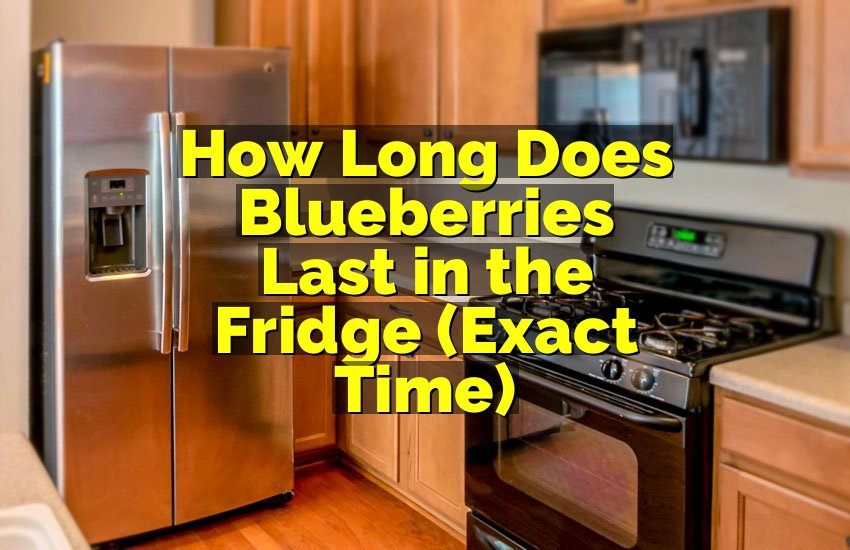 How Long Does Blueberries Last in the Fridge (Expert Guide)